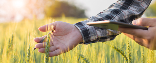 Réunions d'informations agricoles | Résultats 2022, PAC 2023, fiscalité ...