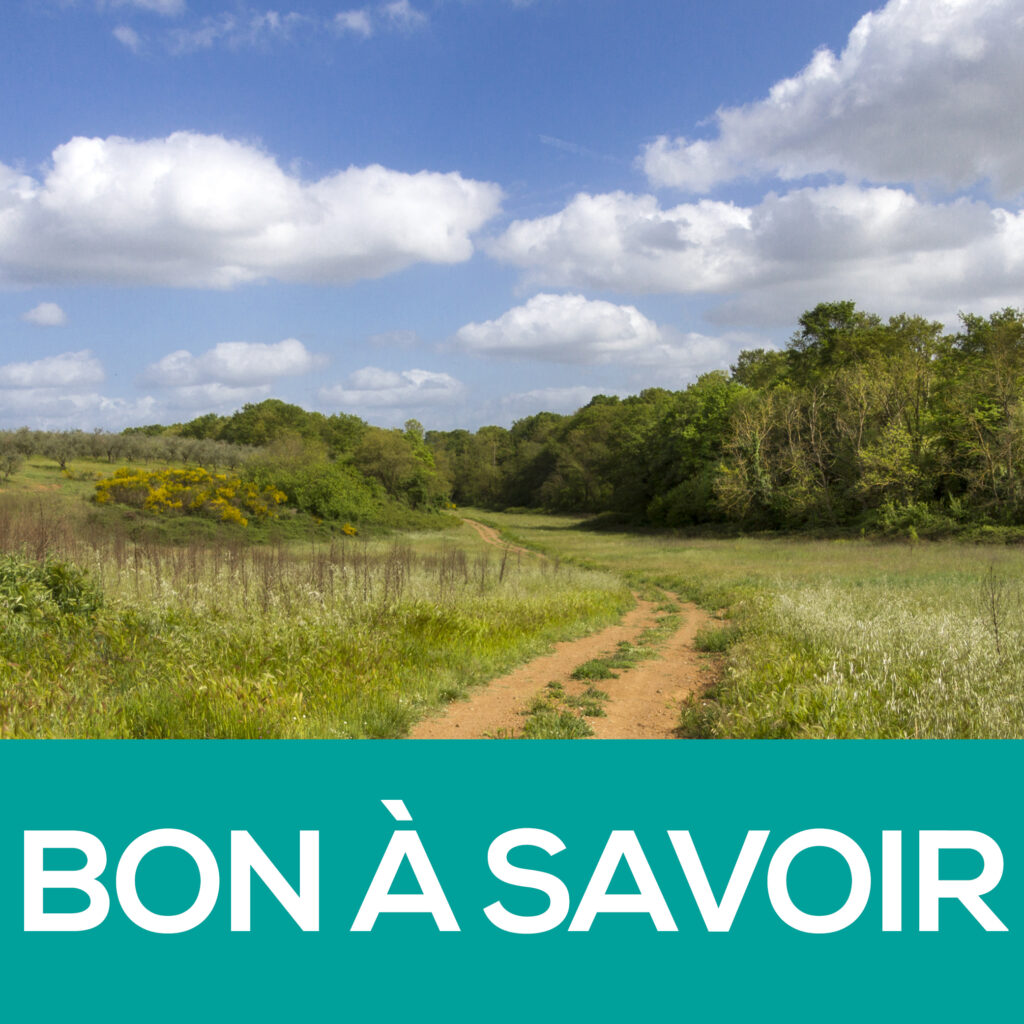 La Commission européenne valide une dérogation sur les jachères - Adheo