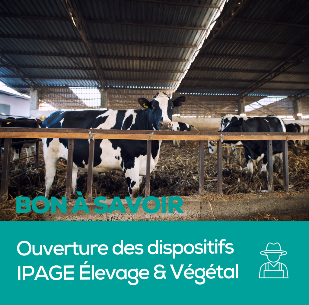 Ouverture des dispositifs IPAGE Élevage, IPAGE Végétal et du ...